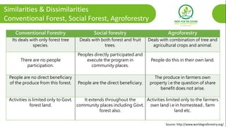 Agroforestry in bangladesh | PDF