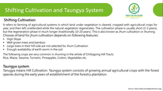 Agroforestry in bangladesh | PDF
