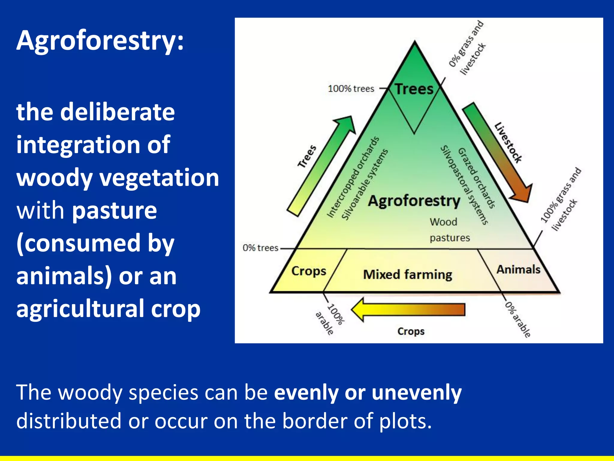 Agroforestry in Europe Practice, research and policy | PPT