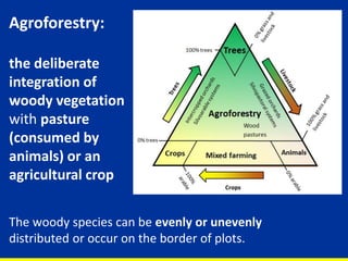Agroforestry in Europe Practice, research and policy | PDF