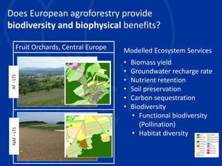 Agroforestry in Europe Practice, research and policy | PPT