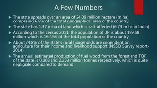 Agro Forestry in UP.pptx