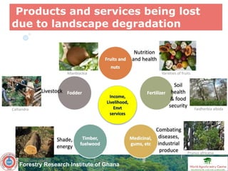 Sustainable land management for improved livelihoods and environmental ...