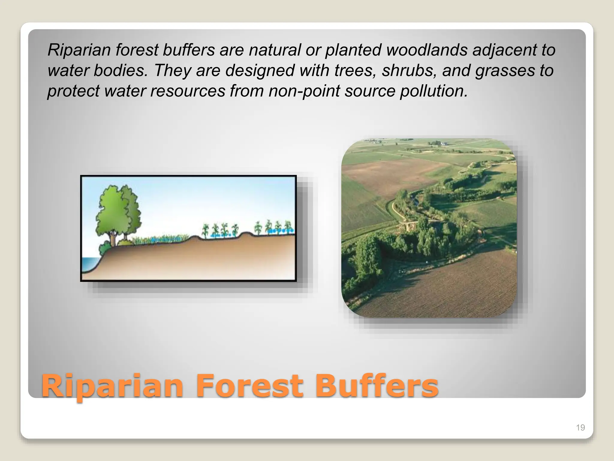 AgroforestryOverview2-18-12.ppt agroforestry practice | PPT