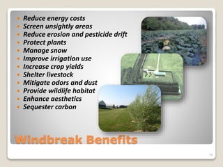 AgroforestryOverview2-18-12.ppt agroforestry practice | PPT