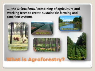 AgroforestryOverview2-18-12.ppt agroforestry practice | PPT