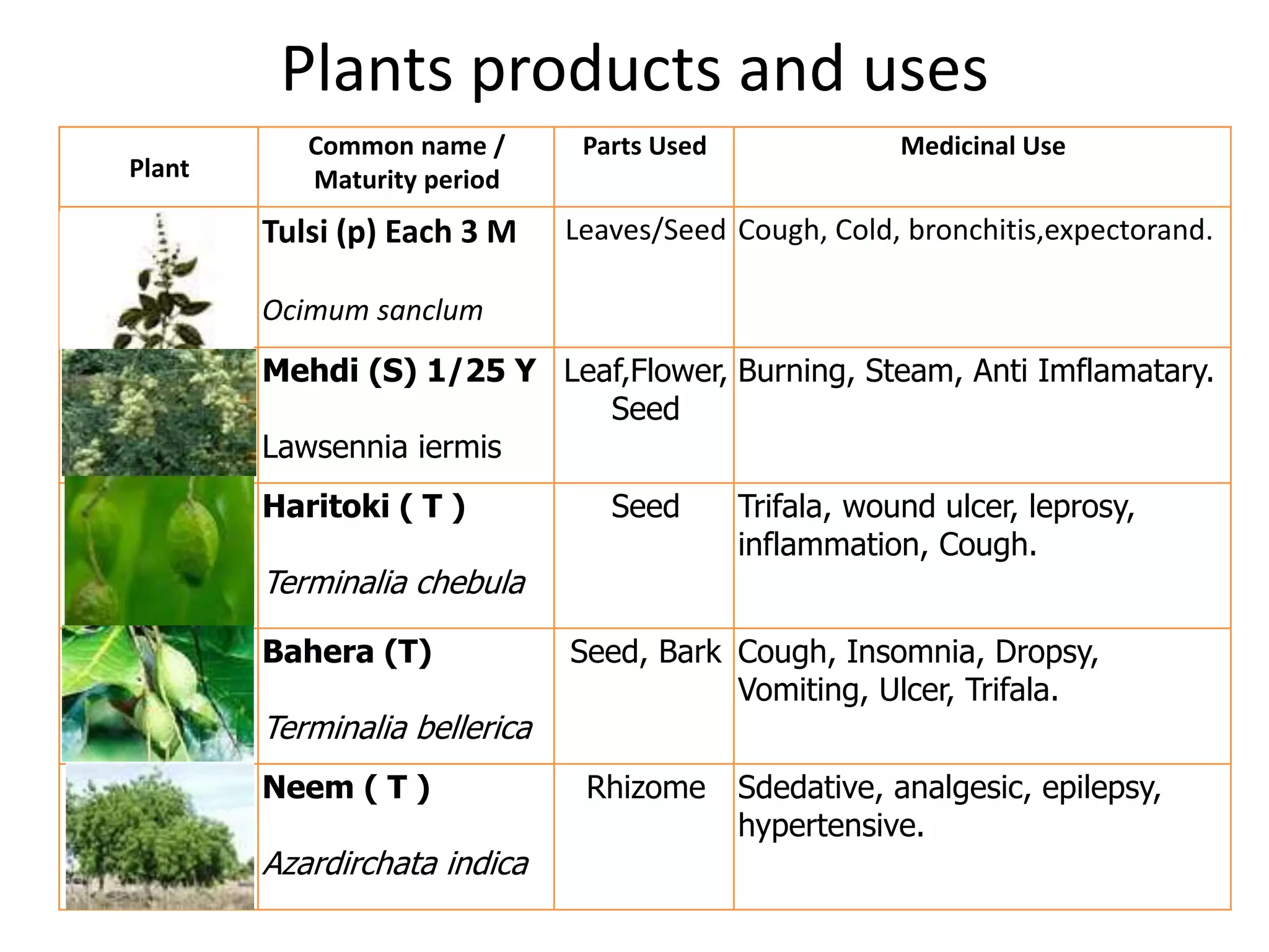 Agroforestry plant products and uses | PPTX