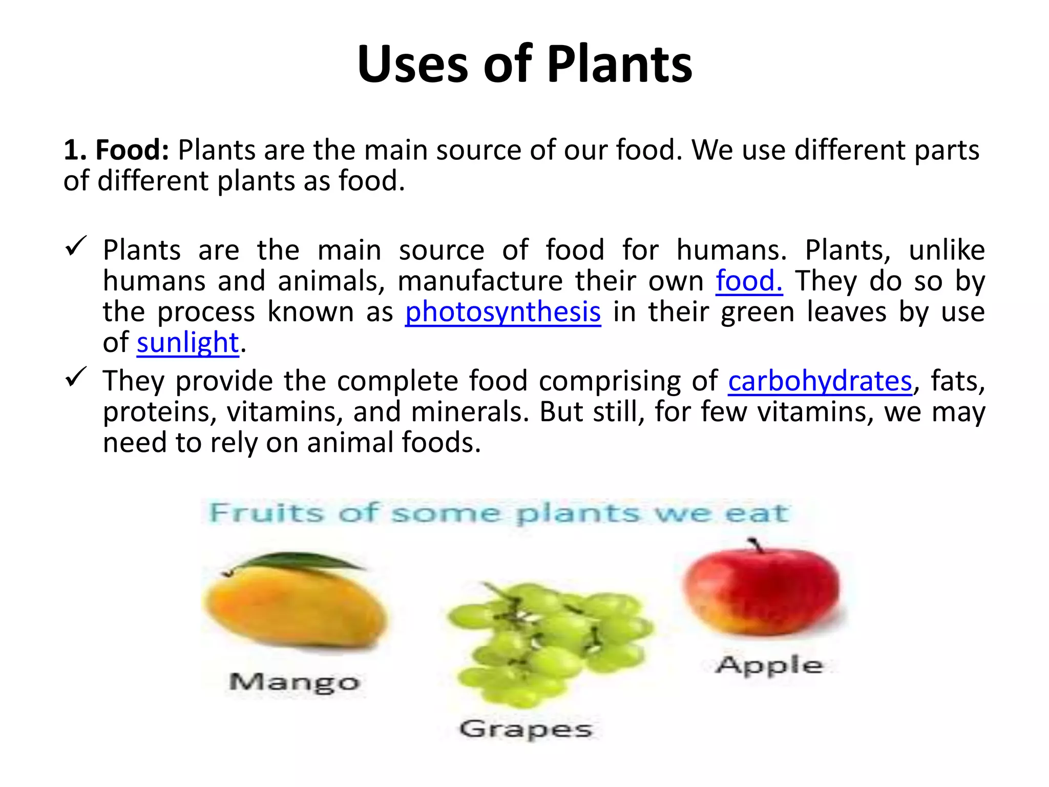 Agroforestry plant products and uses | PPTX