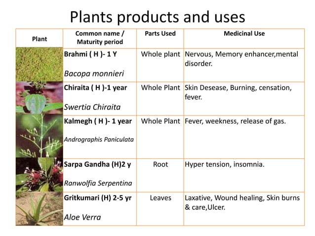 Agroforestry plant products and uses | PPTX