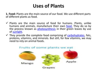 Agroforestry plant products and uses | PPTX