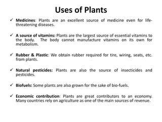 Agroforestry plant products and uses | PPTX