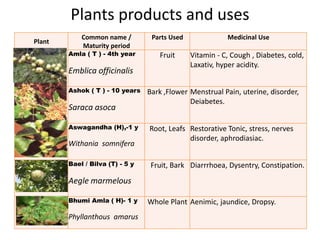 Agroforestry plant products and uses | PPTX