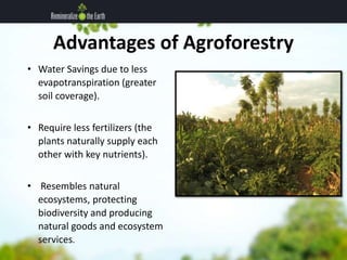 Agroforestry: Addressing Climate Challenges and Improving Social ...