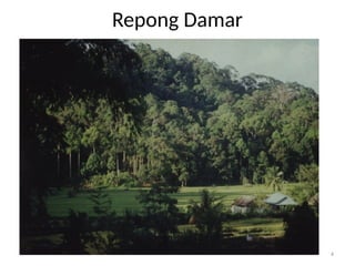 Agroforestry kumpulan dokumentasi_2016.pptx