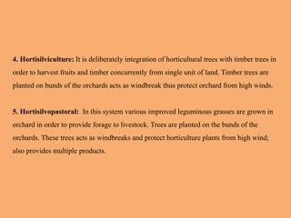 Agroforestry system | PPTX