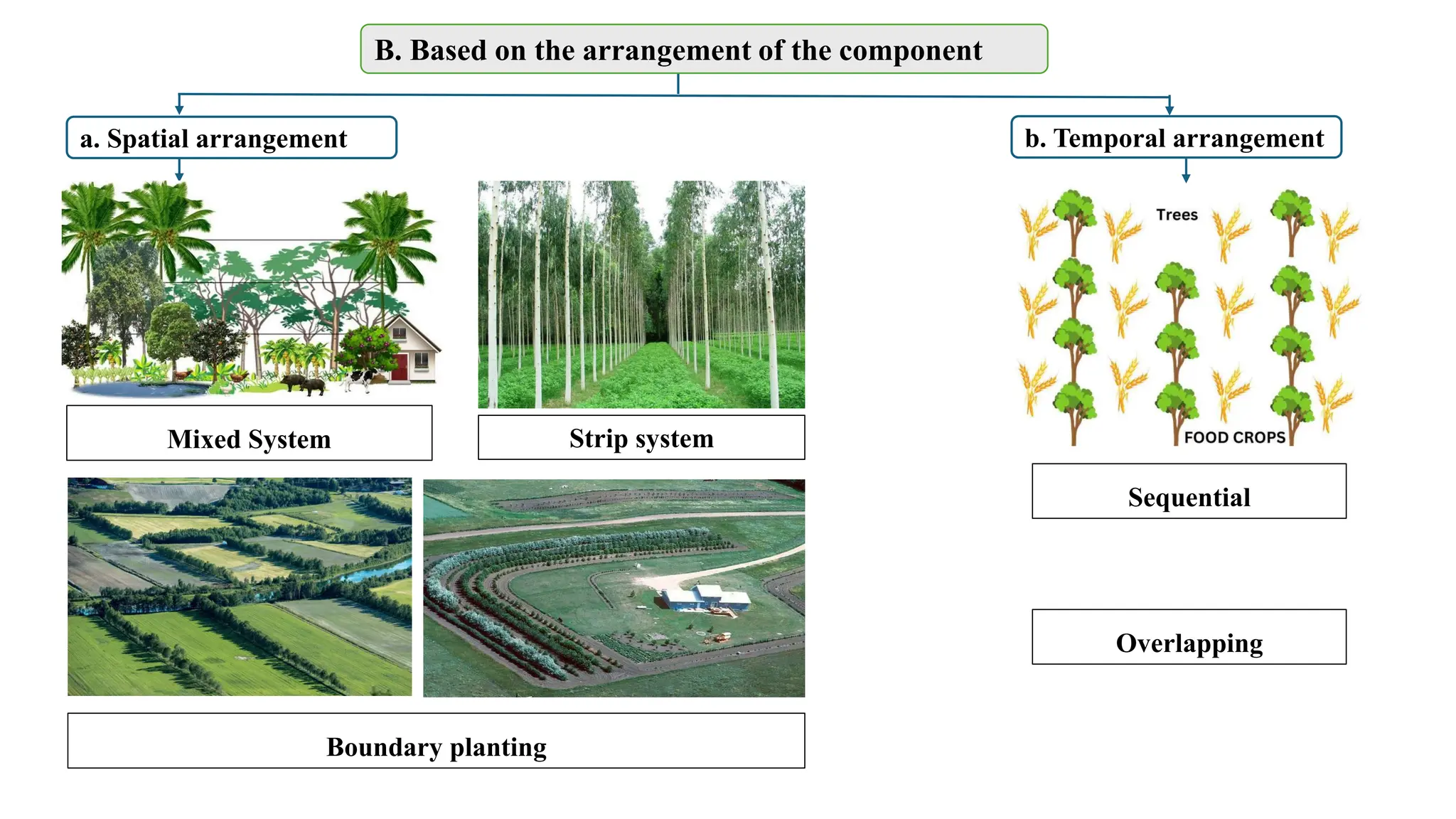 Classification of Agroforestry System According to PK Nair | PDF
