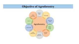 Classification of Agroforestry System According to PK Nair | PDF