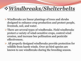 Agroforestry system in agriculture | PPTX