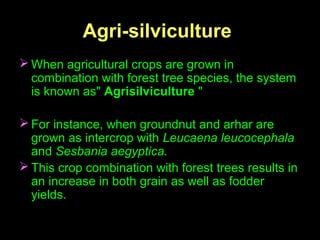 Agroforestry systems and architecture | PPT