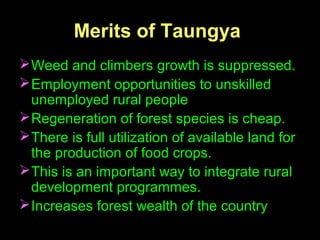 Agroforestry systems and architecture | PPT