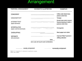 Agroforestry systems and architecture | PPT