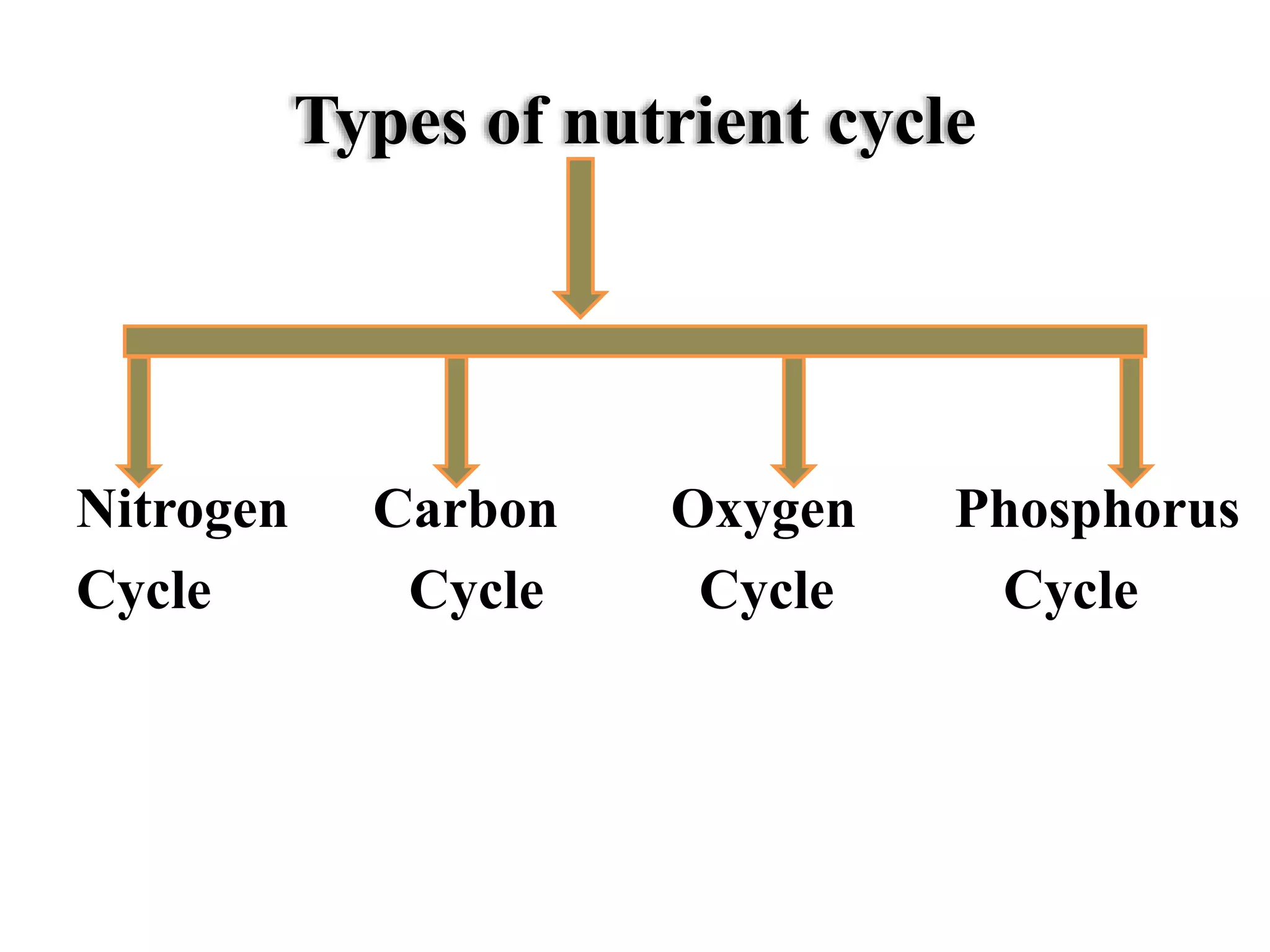 soil fertility and nutrient cycle | PPTX