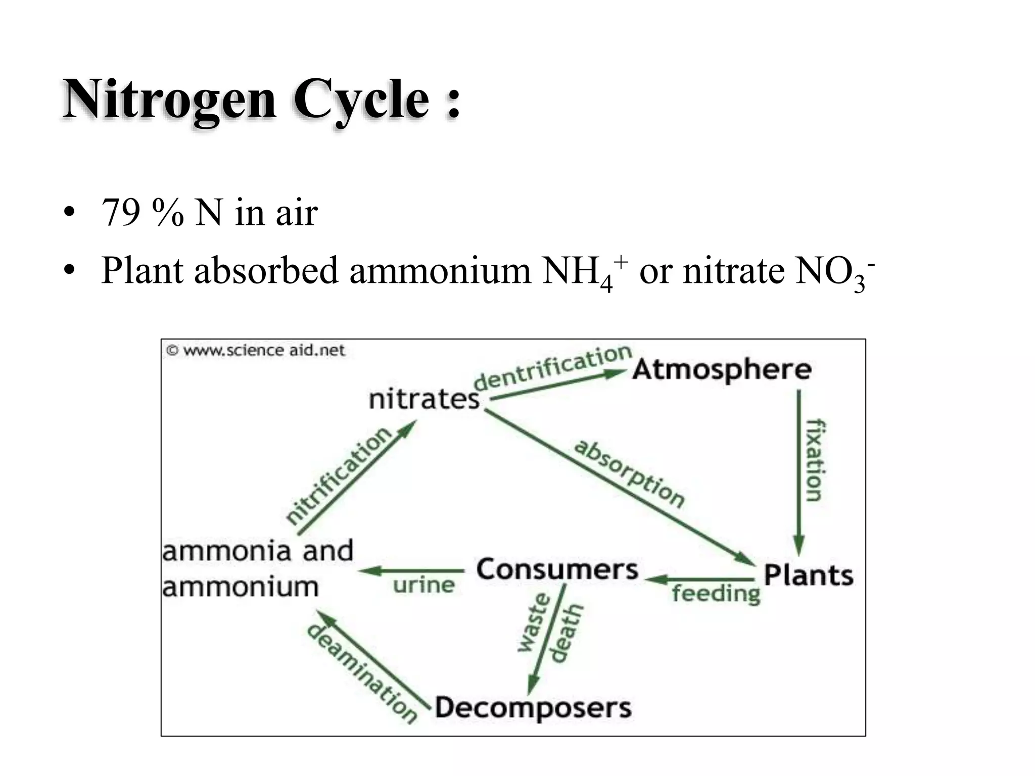 soil fertility and nutrient cycle | PPTX