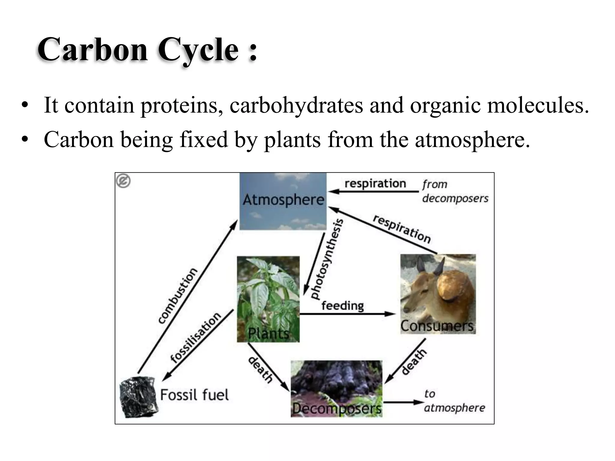 soil fertility and nutrient cycle | PPTX