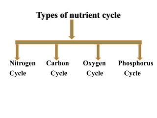 soil fertility and nutrient cycle | PPTX