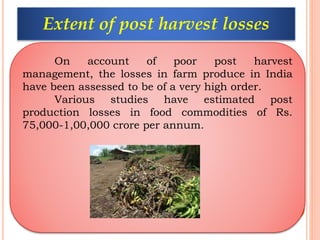 Agroindustries prospects and challenges | PPTX