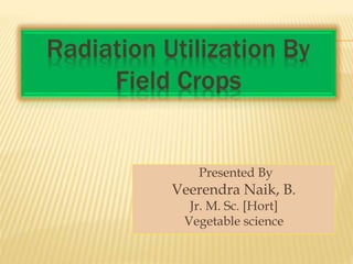 radiation utilization by field crops | PPTX