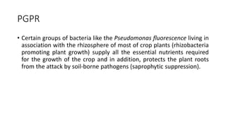 biofertilizer and its application on major field crop | PPTX