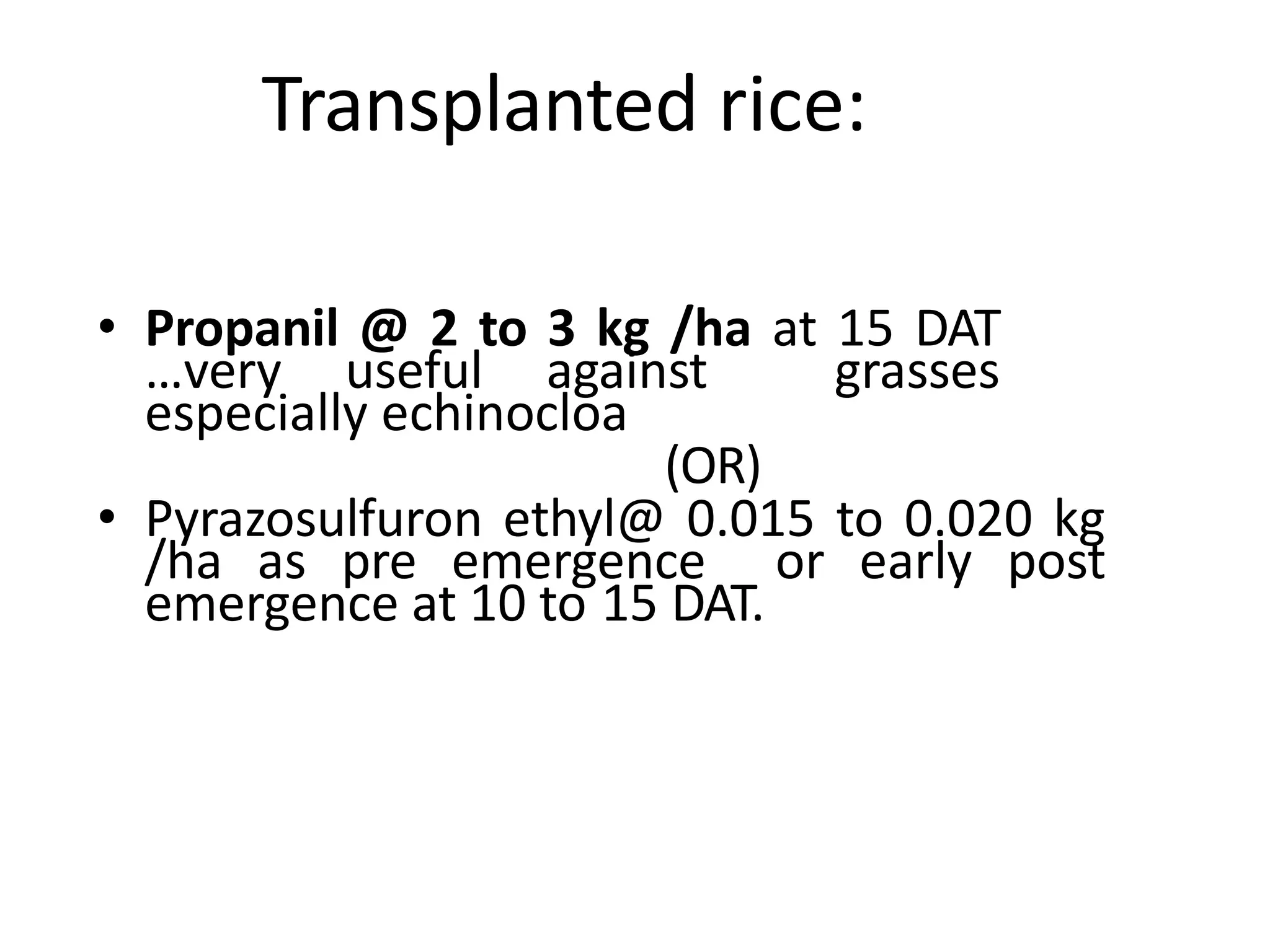 weed management in transplanted rice | PPTX