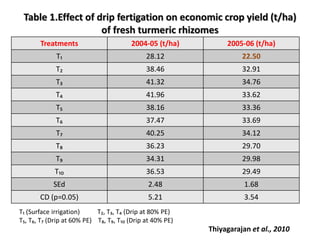 Water Management in Turmeric | PPTX