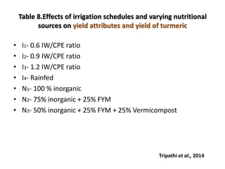 Water Management in Turmeric | PPTX