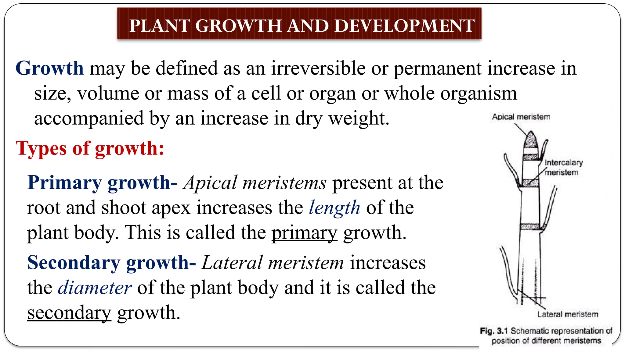 AGRON 101 Crop growth and development 2024-25.pptx