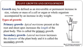 AGRON 101 Crop growth and development 2024-25.pptx