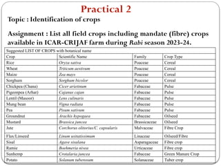 AGRON 101 Practical Assignments in field crops.pptx