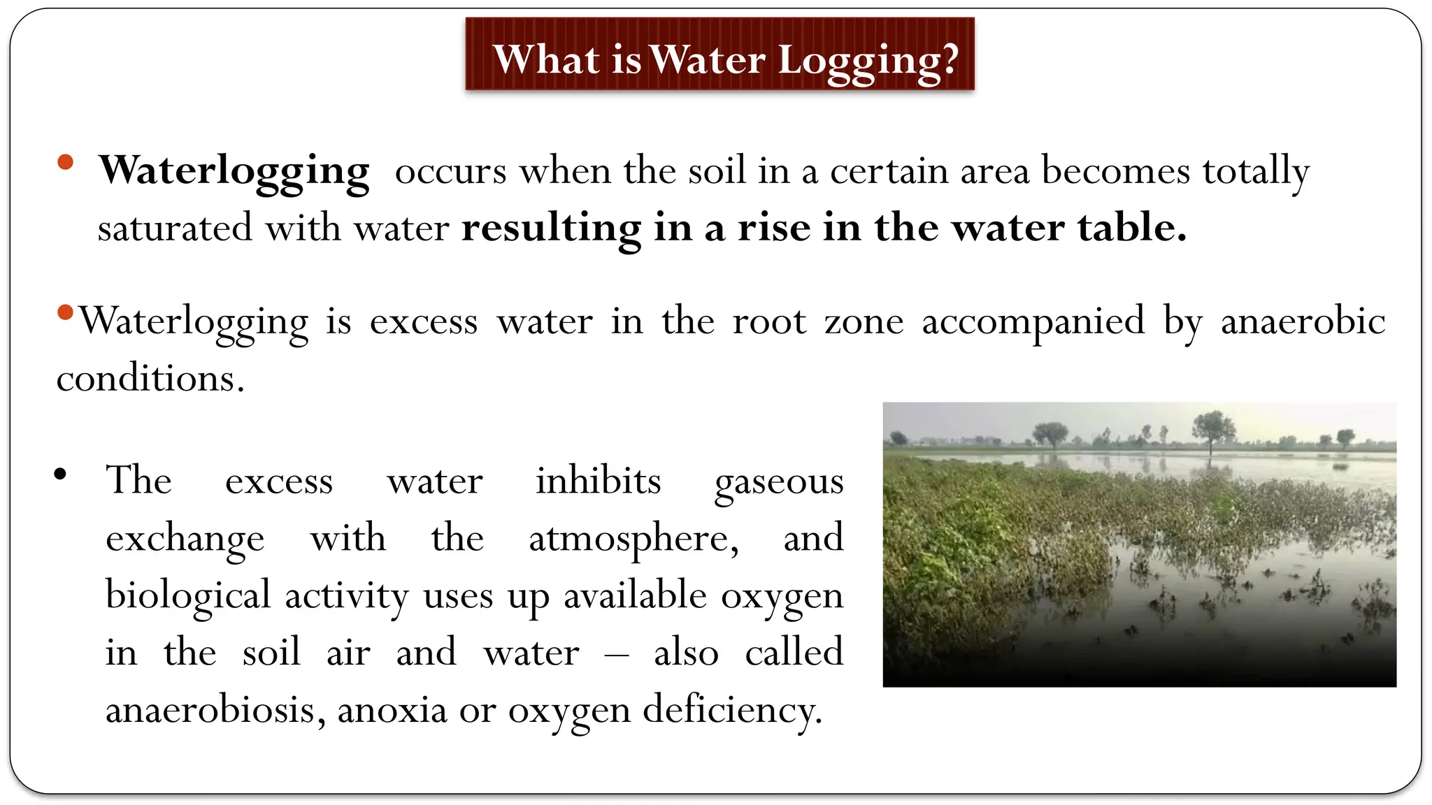 AGRON 101 Water Logging in field crops.pptx