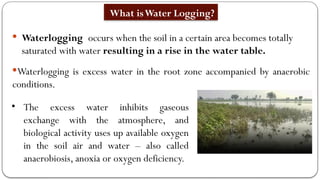 AGRON 101 Water Logging in field crops.pptx