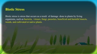 STRESS AND ENIVIRONMENT AND THEIR EFFECT ON CROP YIELD | PPTX