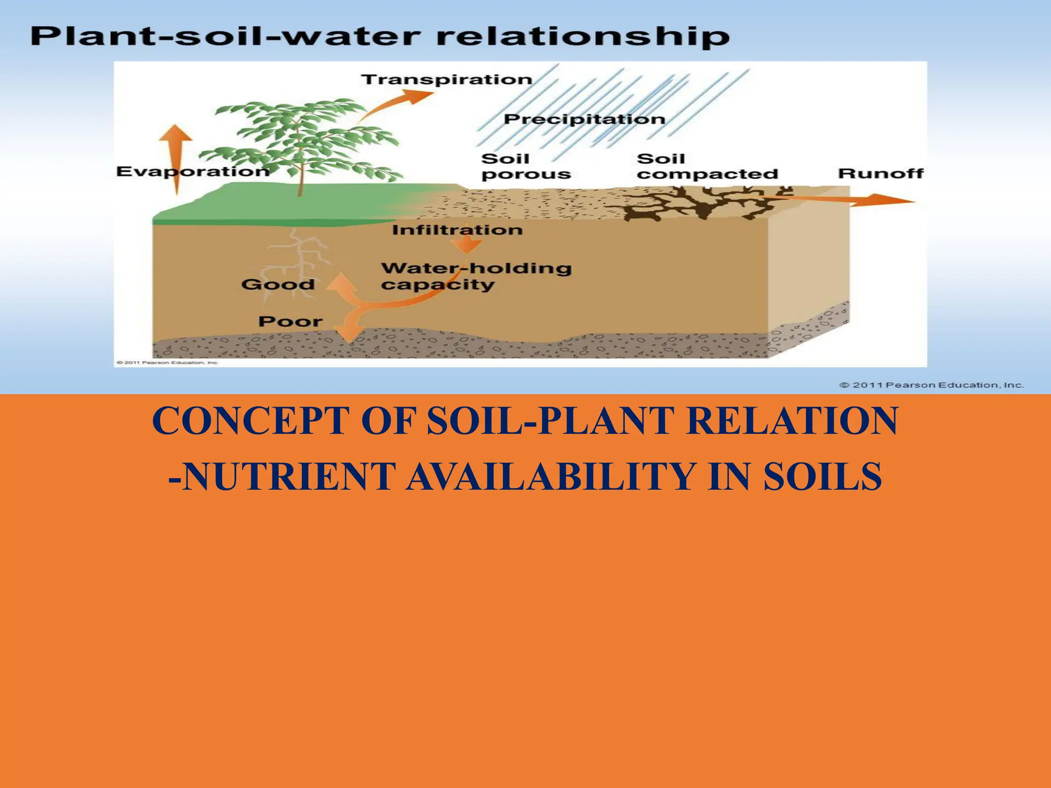 Soil plant relationships and soil atmosphere continuum | PDF