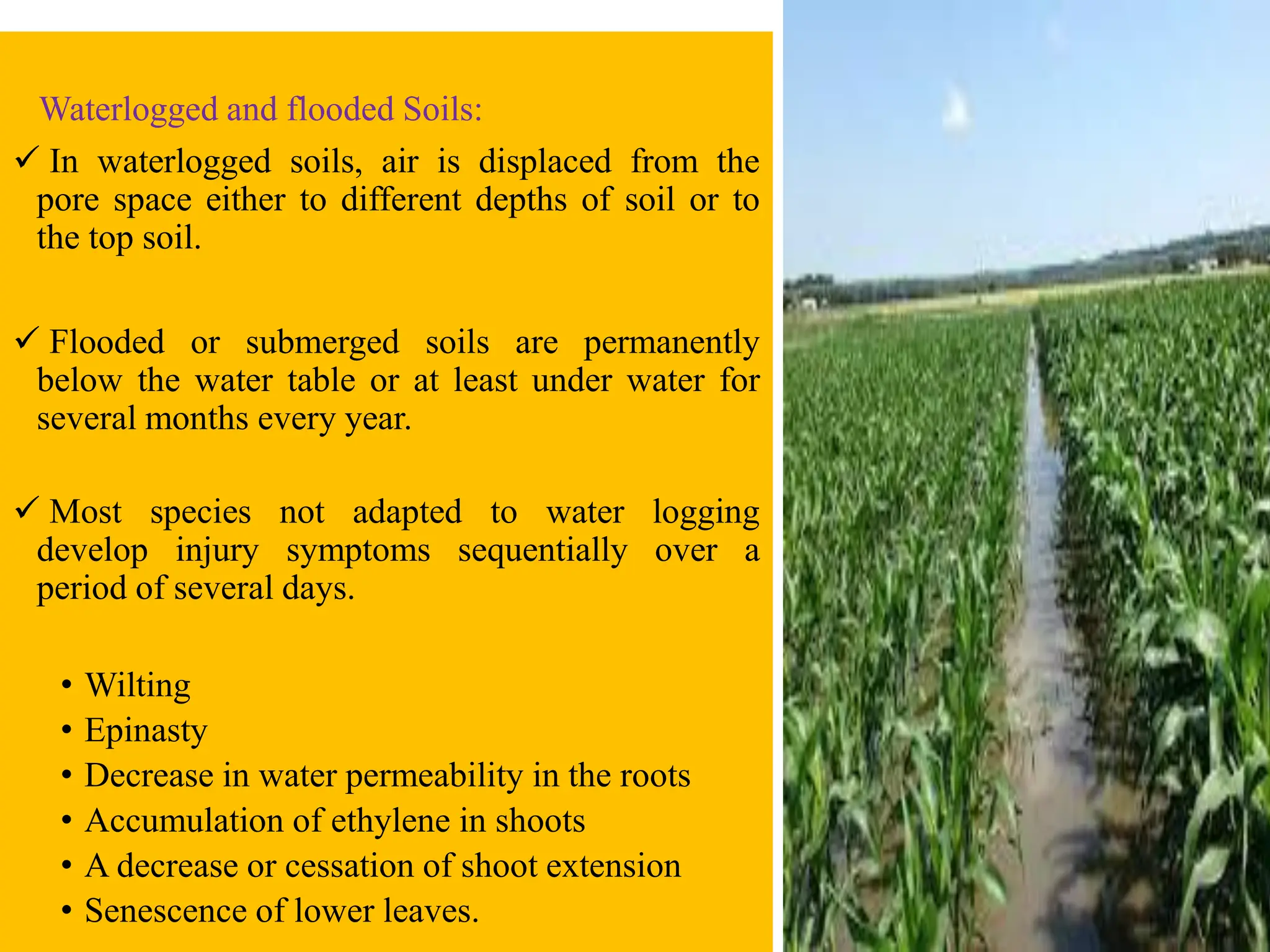 Soil plant relationships and soil atmosphere continuum | PDF