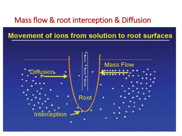 Soil plant relationships and soil atmosphere continuum | PDF ...