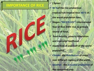 effect of different weather elements on growth and development of rice ...