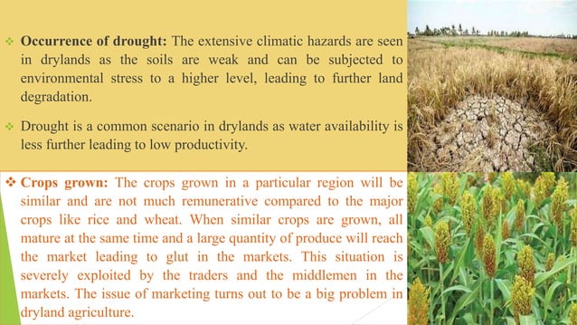 dryland farming problems and solutions | PPTX | Agriculture | Industries