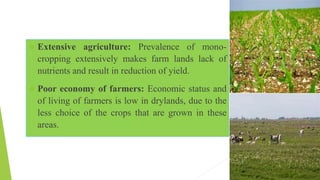 dryland farming problems and solutions | PPTX