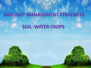 drought management strategies | PPTX