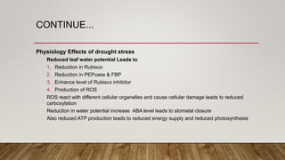 Water Relationship to Crop | PPTX