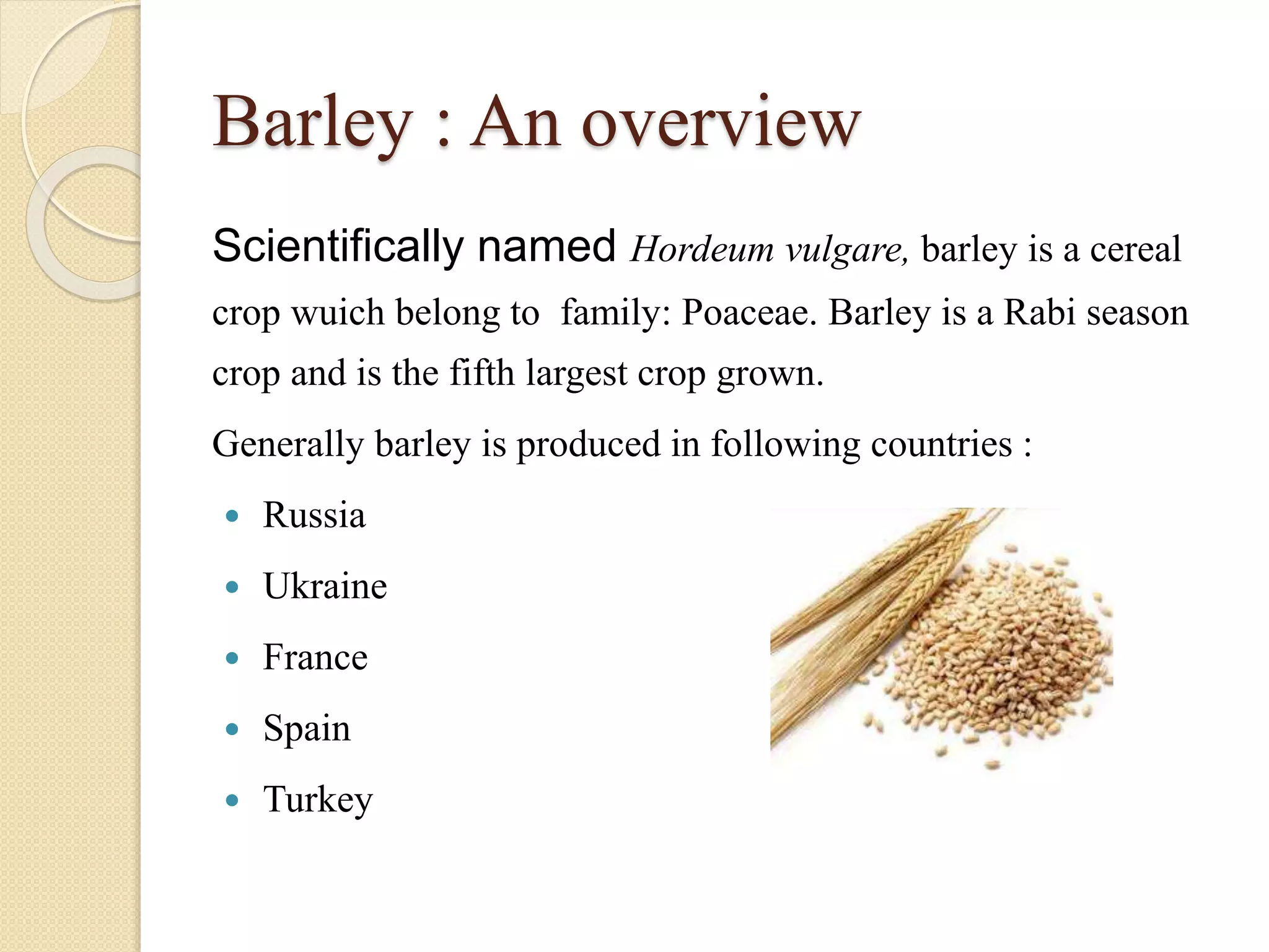 barley crop production ppt.pptx